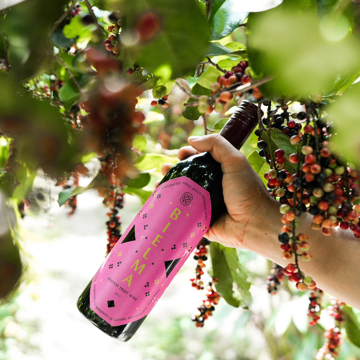 Bielma Bugnay Fruit Wine – Proudly Promdi